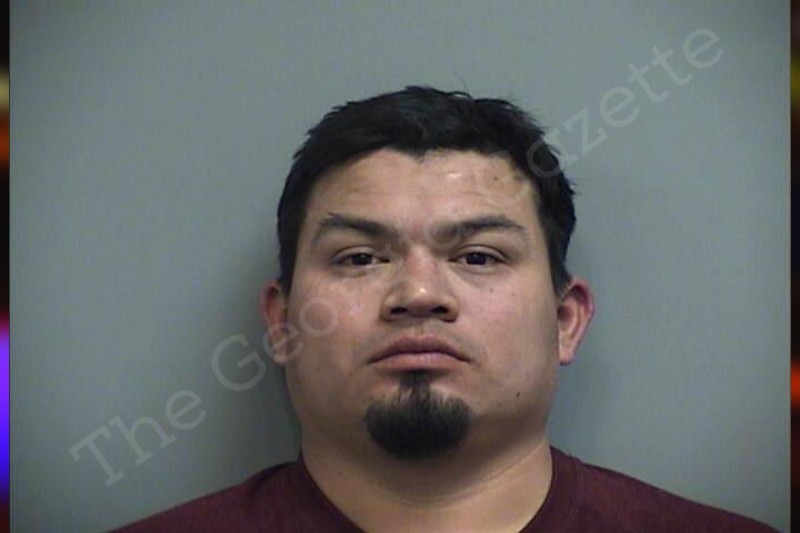 Maynor Mendoza — Effingham County Jail Bookings