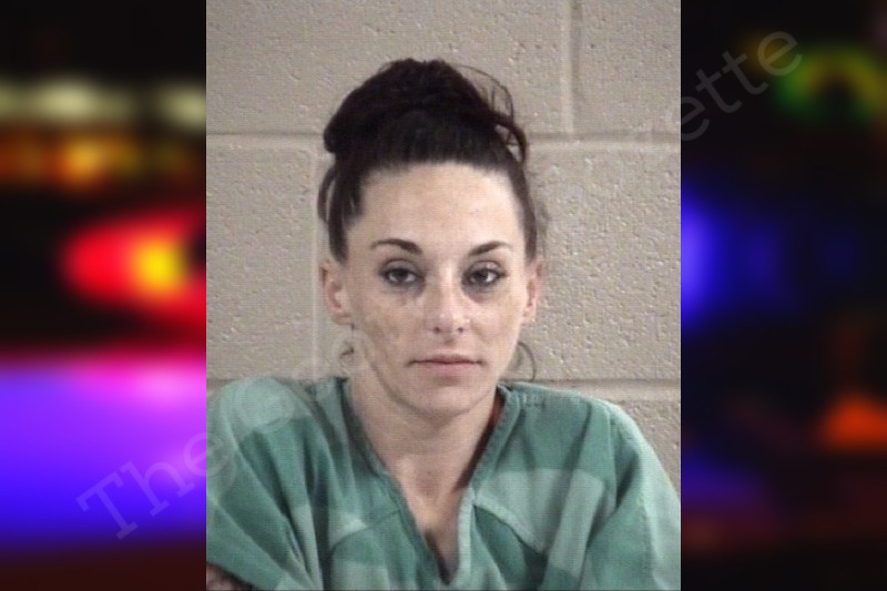 Tabitha Nix — Whitfield County Jail Bookings