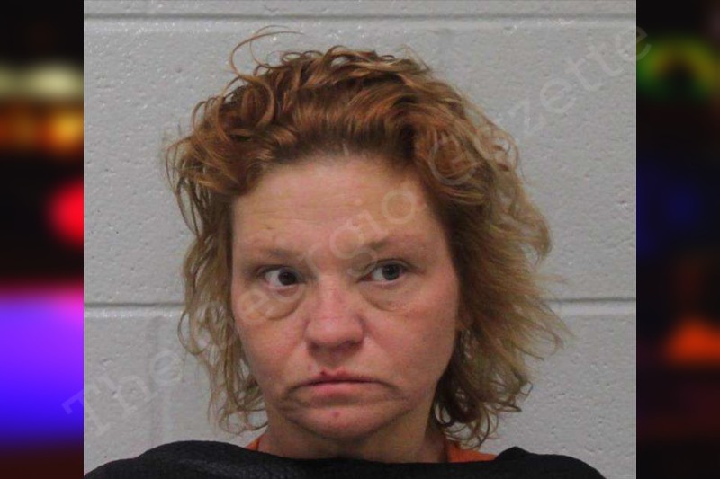 Angela Pike — Carroll County Jail Bookings