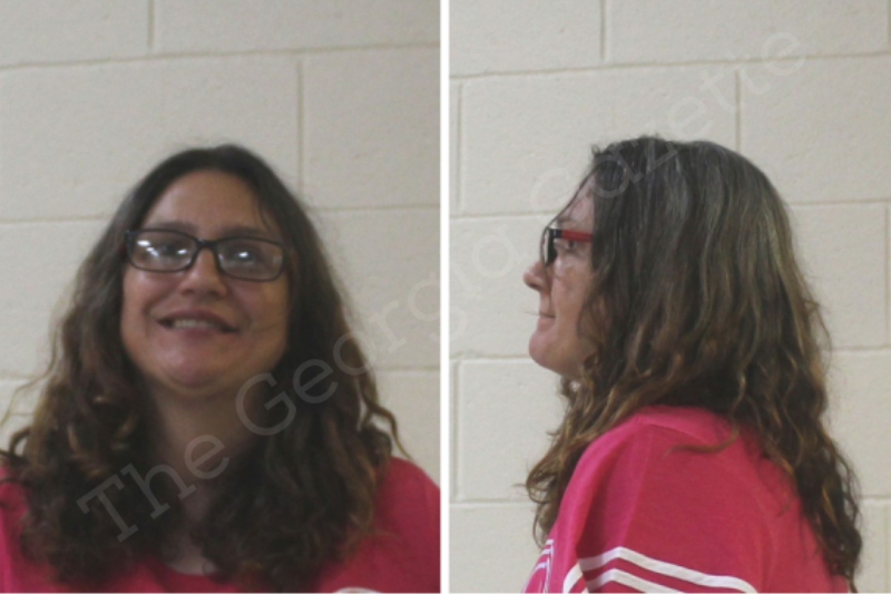 Angela Persinger — Houston County Jail Bookings