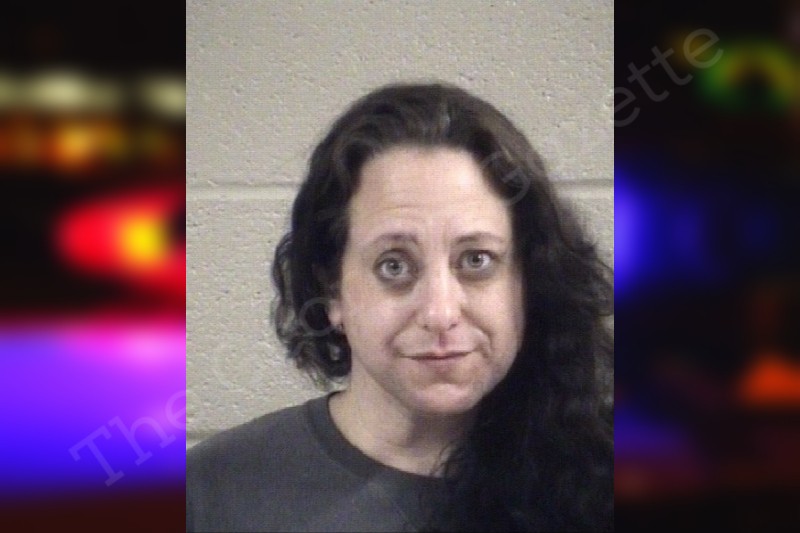 Robin Pruitt — Whitfield County Jail Bookings