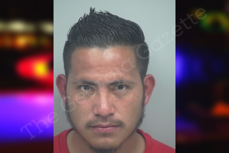 Alonzo Ramirez Gonzalez — Gwinnett County Jail Bookings