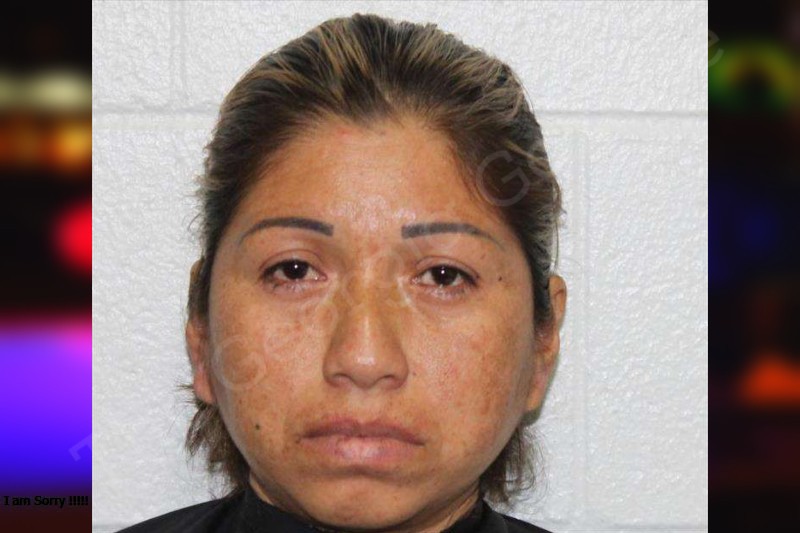 Rosario Ramos-Lopez — Habersham County Jail Bookings