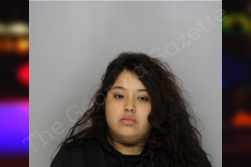 Angelica Razo — Hall County Jail Bookings
