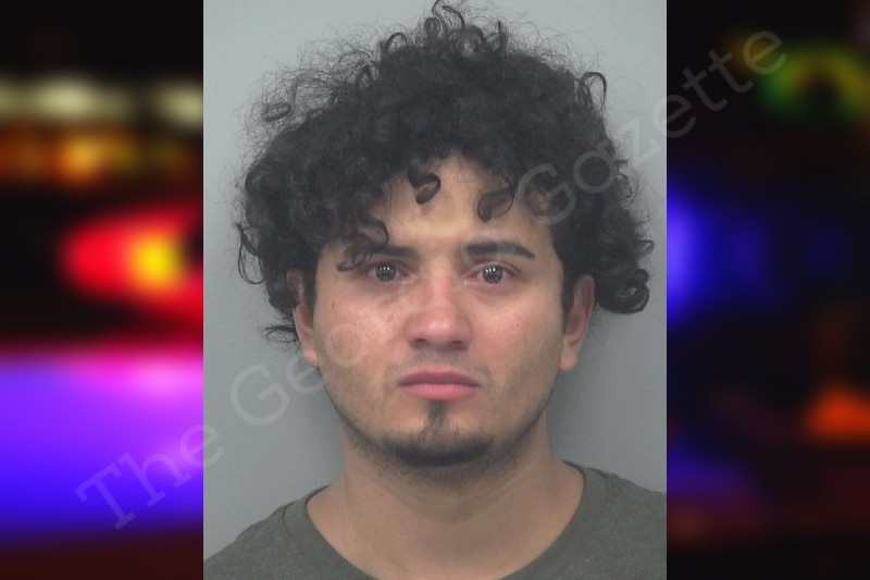 Ludwin Rivas Rivera — Gwinnett County Jail Bookings