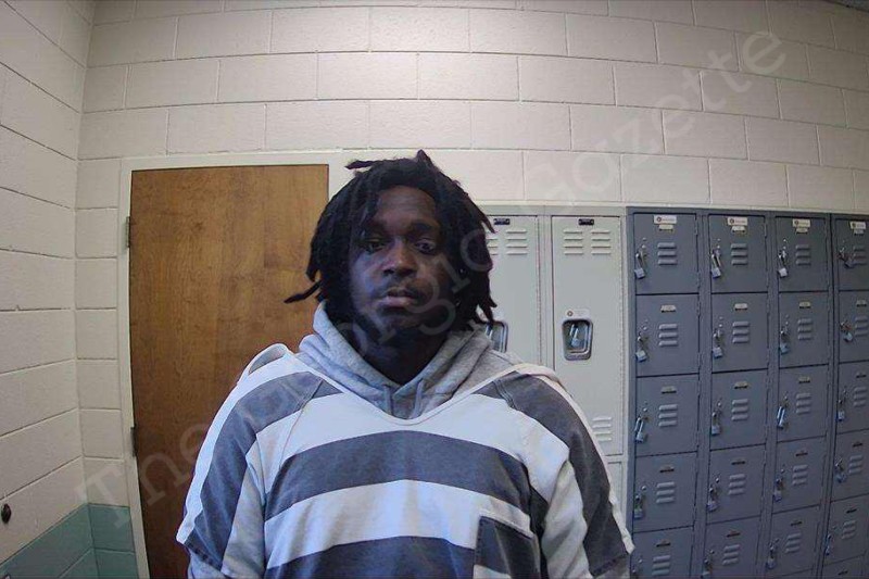 Louis Robinson — Evans County Jail Bookings