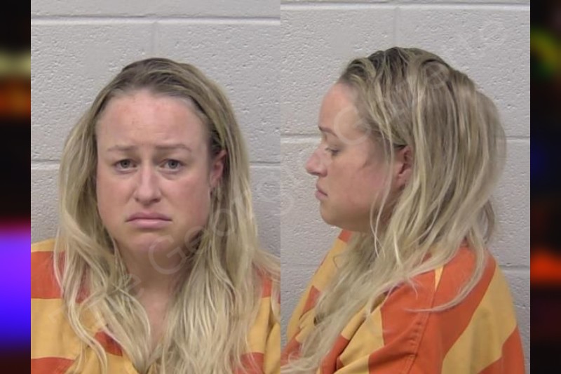 Elizabeth Rahn — Paulding County Jail Bookings