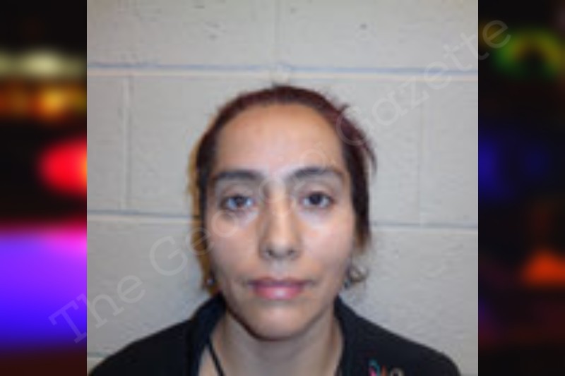 Marisol Rangel-Hernandez — Henry County Jail Bookings