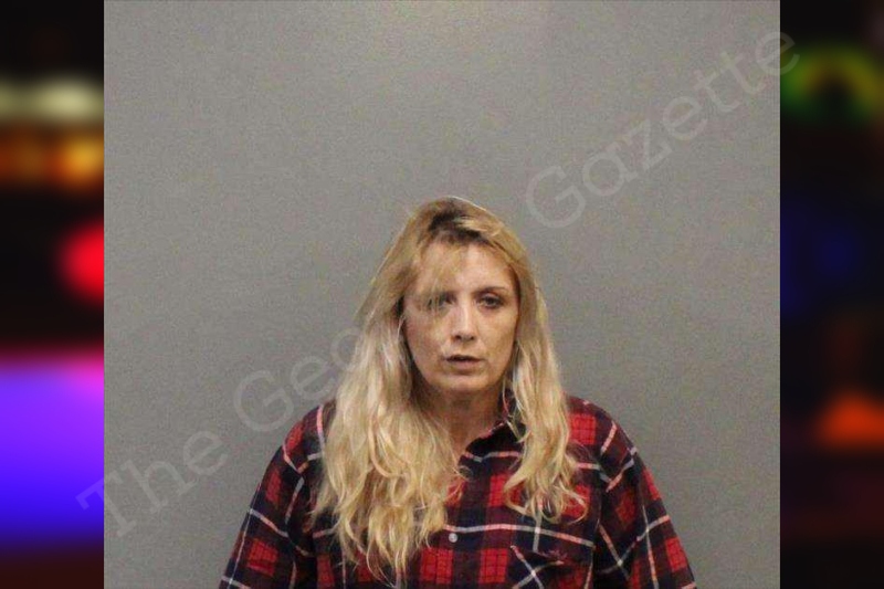 Brandy Rankin — White County Jail Bookings