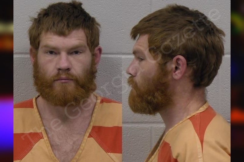 Brandon Rapalee | Paulding County Jail Bookings