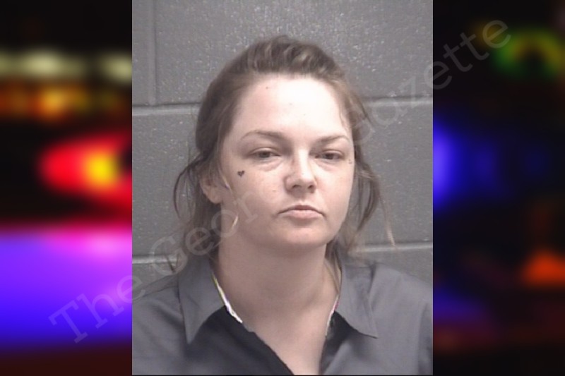 Alexis Reed — Spalding County Jail Bookings