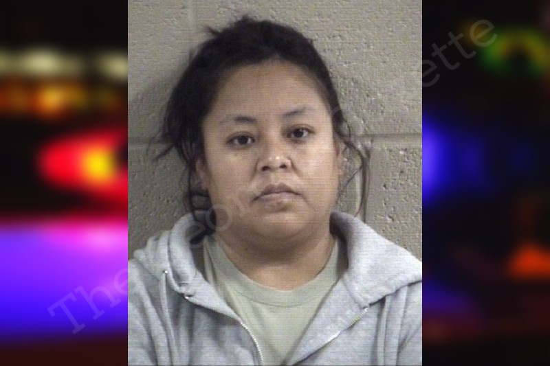 Yesenia Rocha-Flores — Whitfield County Jail Bookings