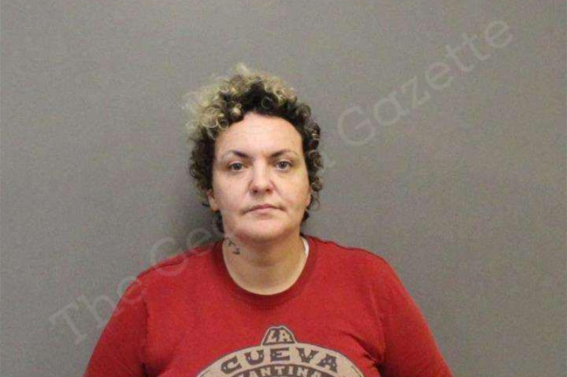 Kelley Rousey | White County Jail Bookings