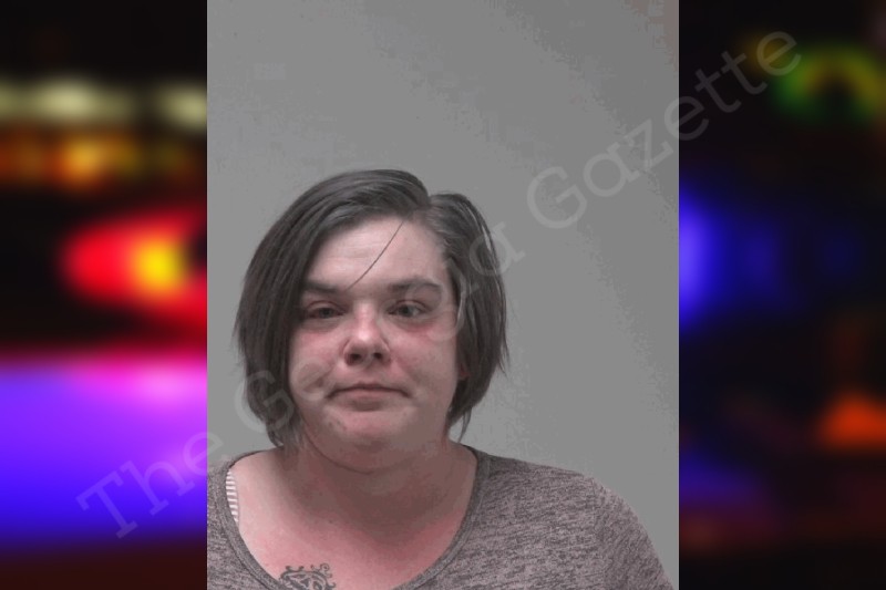 Ariel Sherlock — Coweta County Jail Bookings
