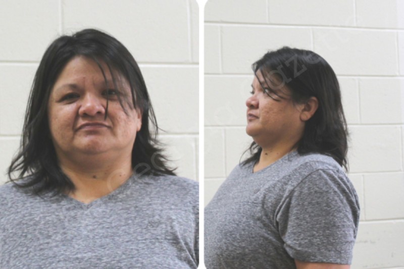 Mary Smallwood — Houston County Jail Bookings