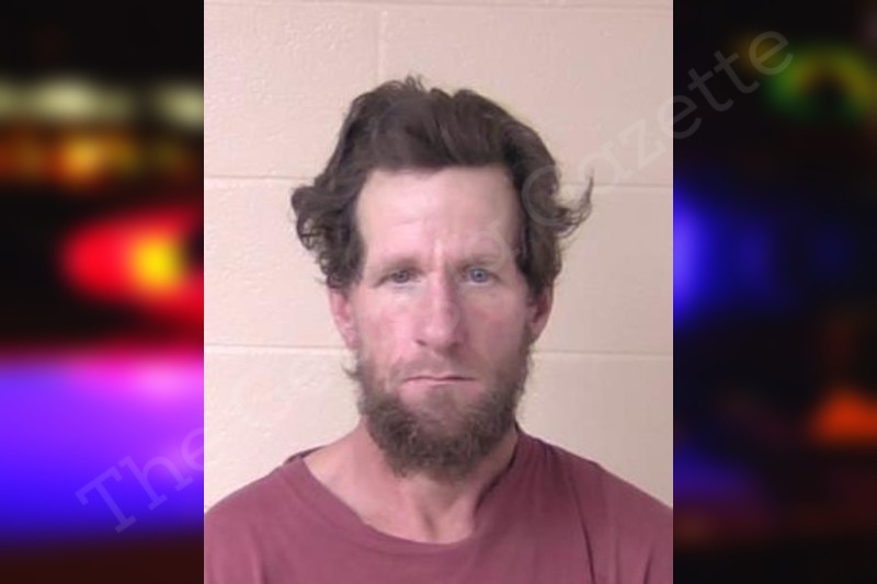 Steven Sansing — Walker County Jail Bookings