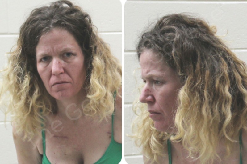 Holly Senger — Houston County Jail Bookings