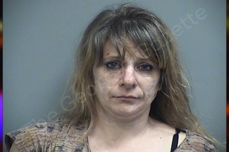 Donna Sikes — Effingham County Jail Bookings