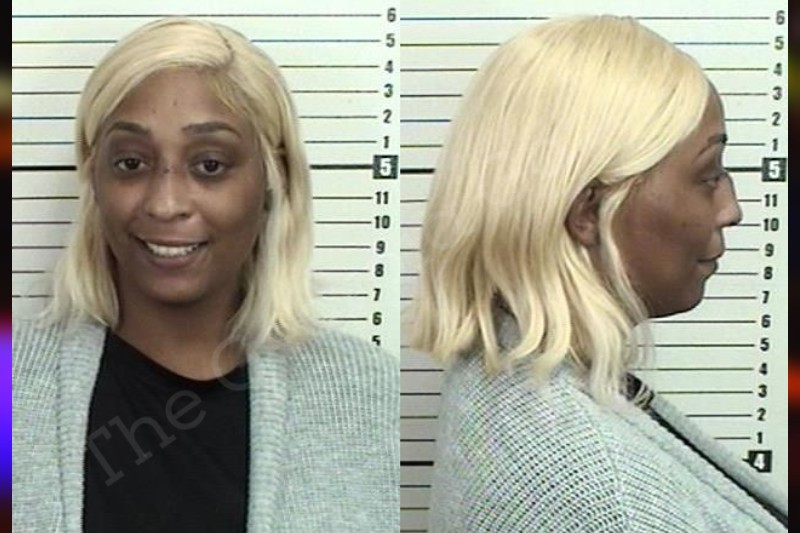 Shardea Southall — Camden County Jail Bookings