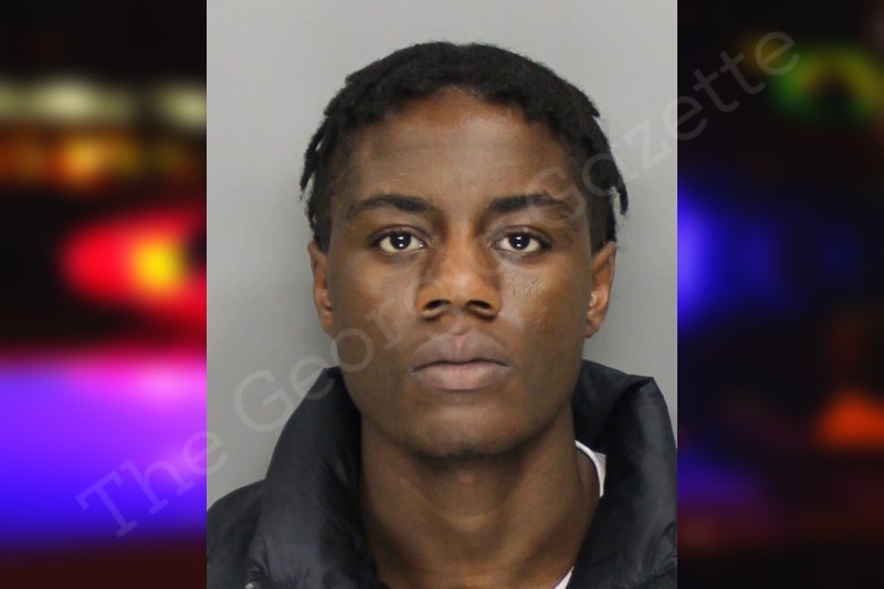 Boluwaji Timothy — Cobb County Jail Bookings