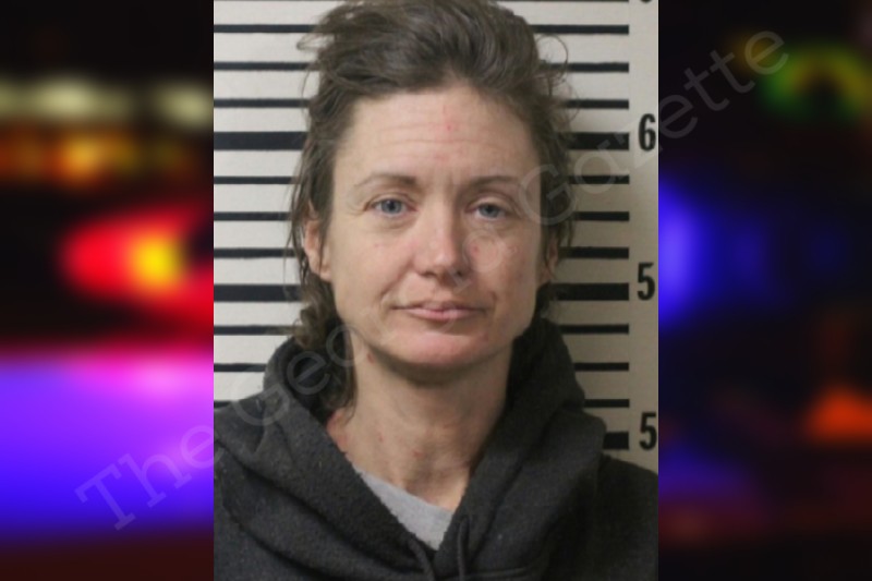 Megan Teichmann — Toombs County Jail Bookings