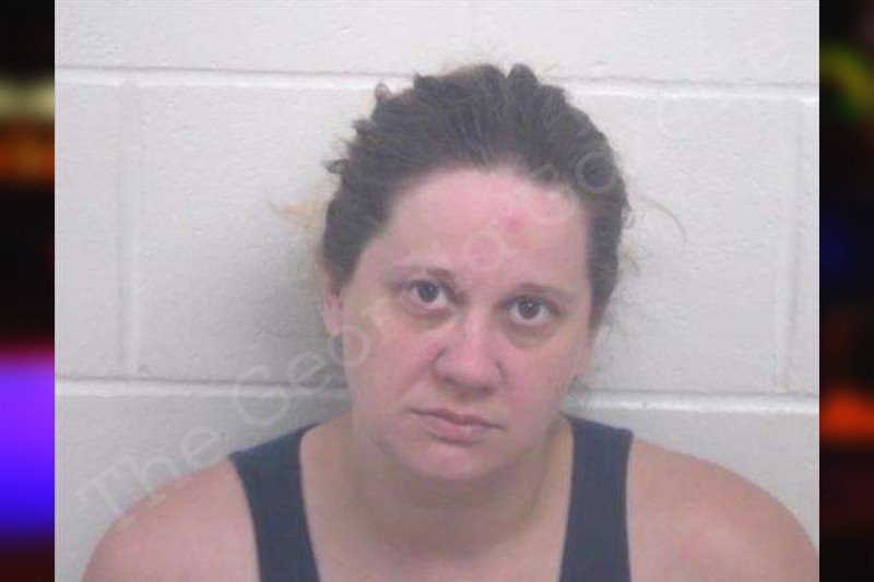 Ashley Wadley — Washington County Jail Bookings Ashley Wadley — Washington County Jail Bookings