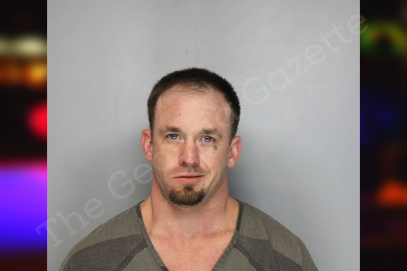 Robert Wallis — Hall County Jail Bookings