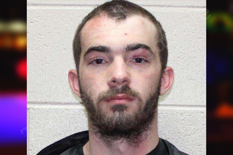 David Wigley — Haralson County Jail Bookings