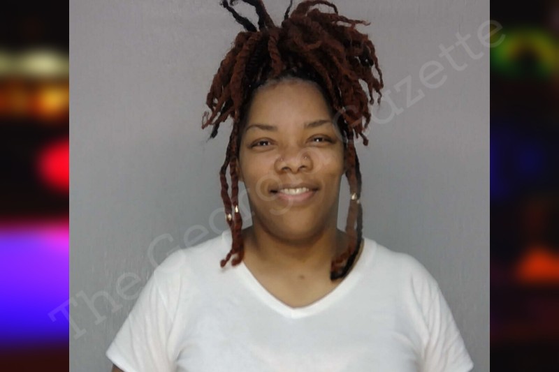 Yolanda Wells — Bibb County Jail Bookings