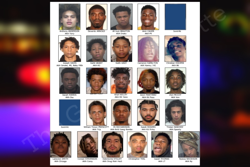 Gwinnett gang unit arrests 25 for murder, robbery, carjacking, assault ...