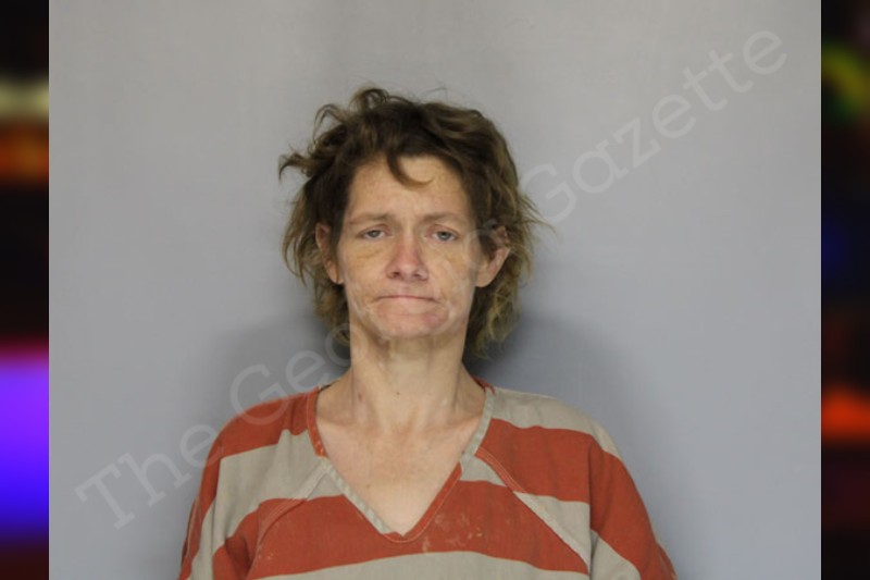 Cindy Alam — Hall County Jail Bookings