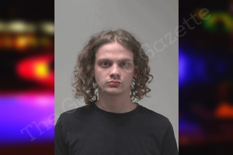 Matthew Anderson — Coweta County Jail Bookings