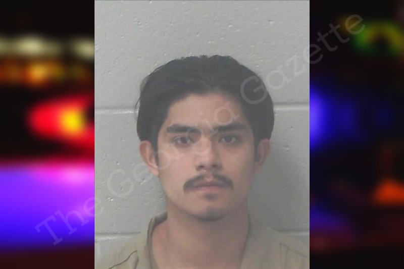 Jesus Aranda-Reyes — Newton County Jail Bookings