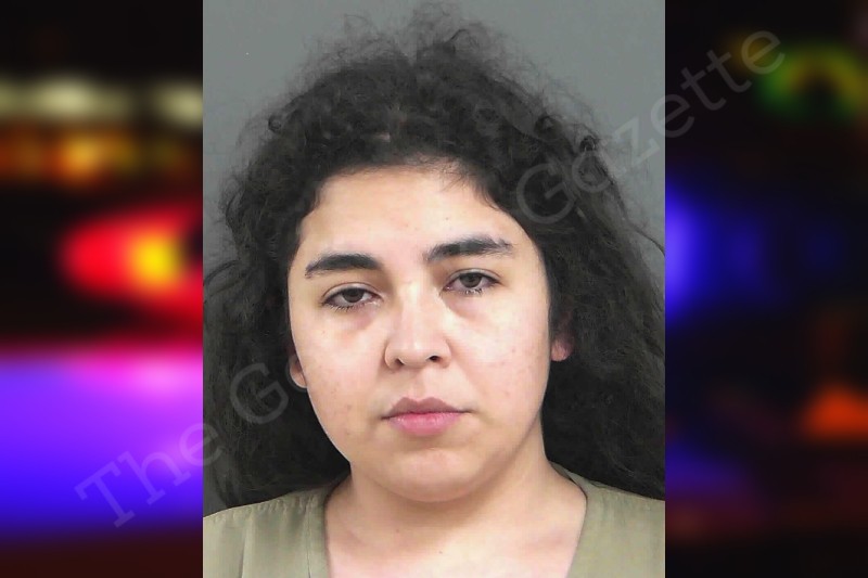 Maria Alvarez — Gordon County Jail Bookings