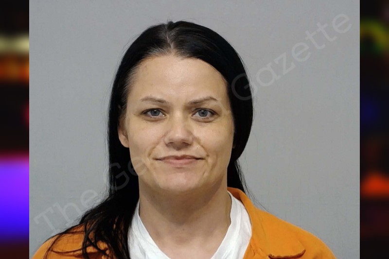 Ashley Nicholson — Bibb County Jail Bookings