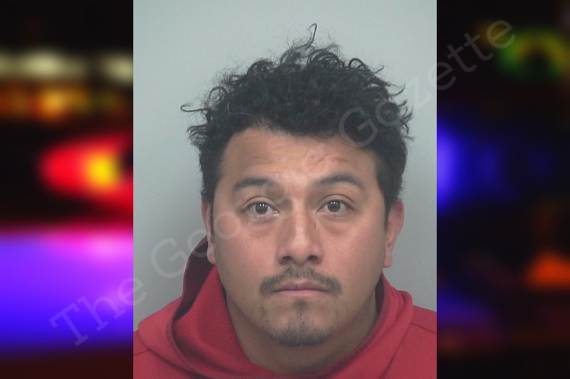 Jose Basilio — Gwinnett County Jail Bookings