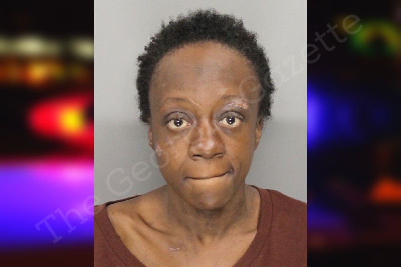 Elizabeth Bridgeman — Cobb County Jail Bookings