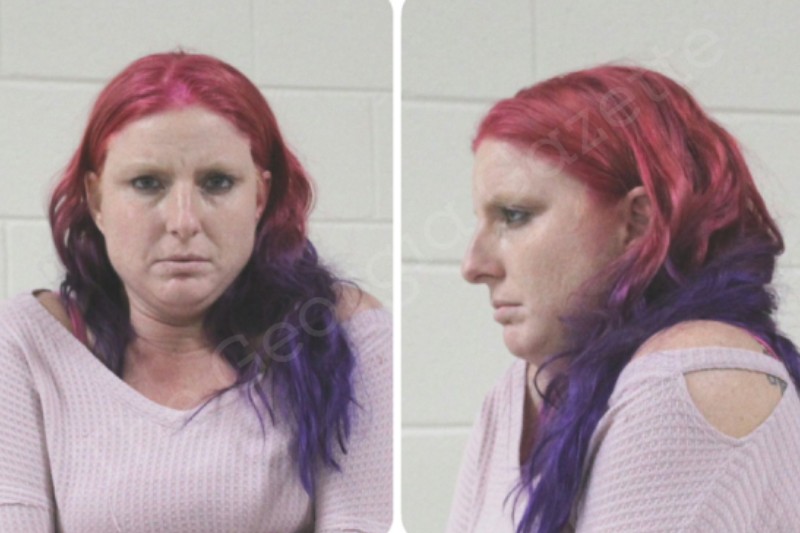 Jennifer Brown-Gammill — Houston County Jail Bookings