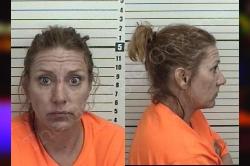 Brooke Box — Camden County Jail Bookings