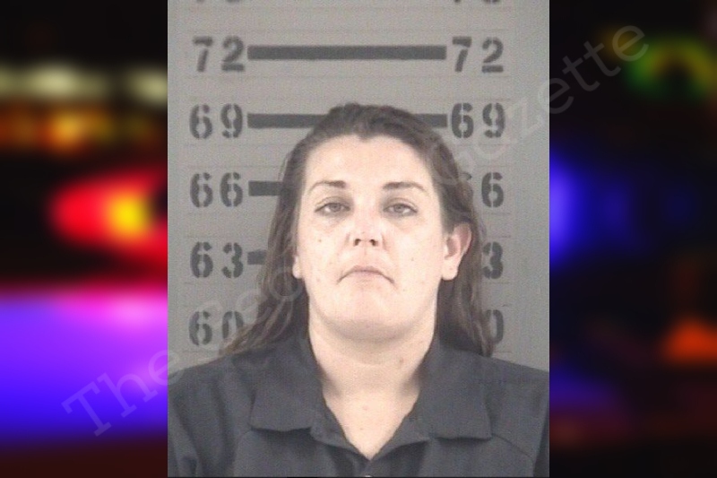 Heather Bradley — Dougherty County Jail Bookings