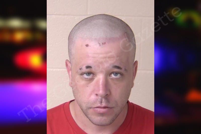 Jake Brown — Walker County Jail Bookings