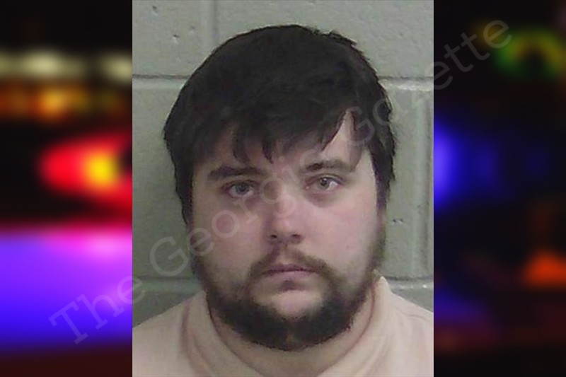 Brian Brunner — Wayne County Jail Bookings