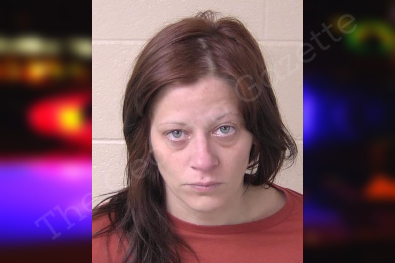 Megan Bryson — Walker County Jail Bookings