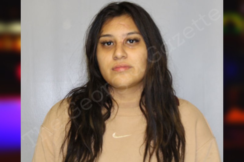 Noemi Castaneda — Hall County Jail Bookings