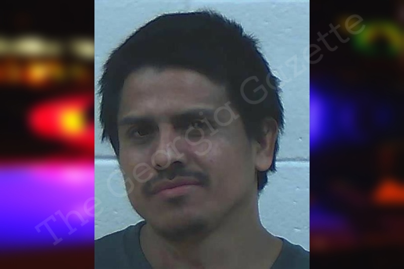 Luis Castillo — Jackson County Jail Bookings