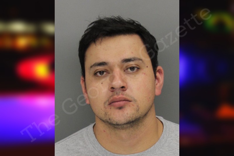Rafael Castillo — Cobb County Jail Bookings
