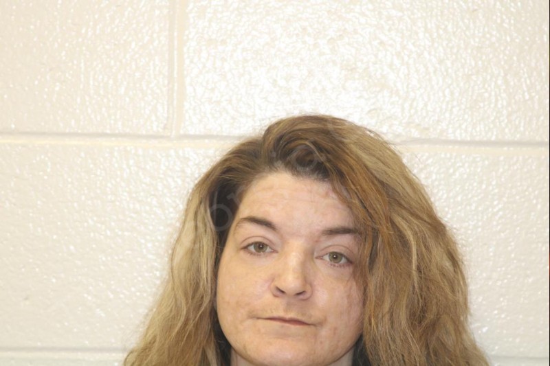 Leesa Collier — Jones County Jail Bookings