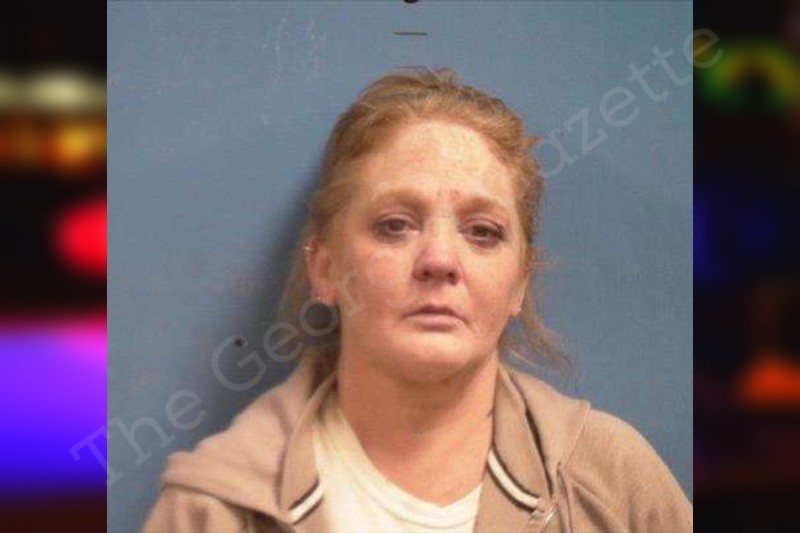 Jennifer Collins — Monroe County Jail Bookings