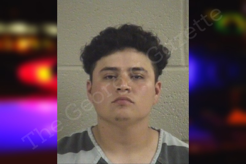 Carlos Castaneda-Lopez — Whitfield County Jail Bookings