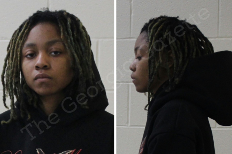 Kayla Chapman — Houston County Jail Bookings